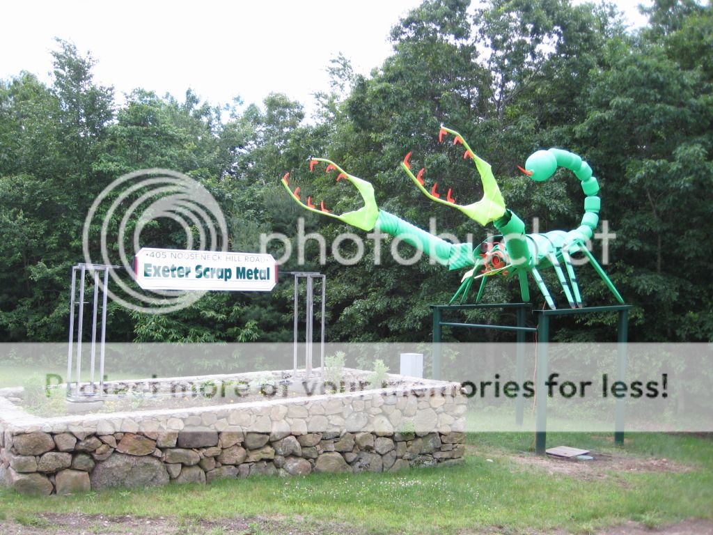 NEW MASCOT FOR EXETER SCRAP METAL - General Topics - DHS Forum